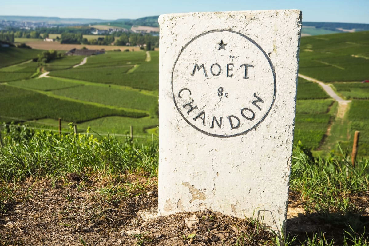 The foundations of the first great champagne houses and their role in ...