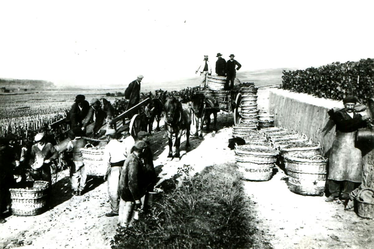 The Sparkling Secrets of the Méthode Champenoise